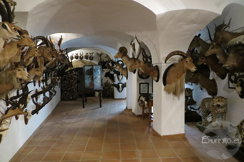 ESturismo.eu ESPAÑA - RONDA Museo de la Caza